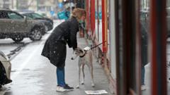 Lockdown, what lockdown? Sweden's unusual response to coronavirus - BBC ...