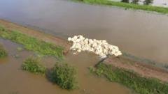 Wainfleet flooding: More homes evacuated - BBC News