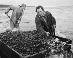 Chris Killip: Retrospective for influential British photographer - BBC News