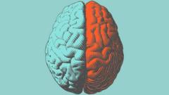 Left-Handers Day: Amazing facts about lefties - BBC Newsround