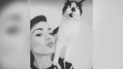 Missing March pet cat Marko found after six years living feral - BBC News