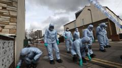 Tottenham shooting: Girl, 17, dies from gunshot wound - BBC News