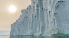 Climate change: Warning from 'Antarctica's last forests' - BBC News
