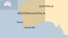 Quokka sighting brings hope for Northcliffe population - BBC News