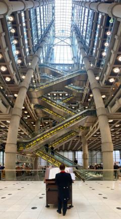 Shackleton's Endurance: The book that records all disasters at sea ...