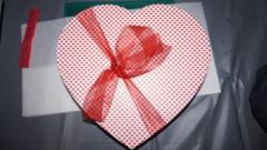 The radicalisation of Safaa Boular: A teenager's journey to terror ...