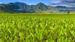 Nature loss: Major report to highlight 'natural and human emergency ...