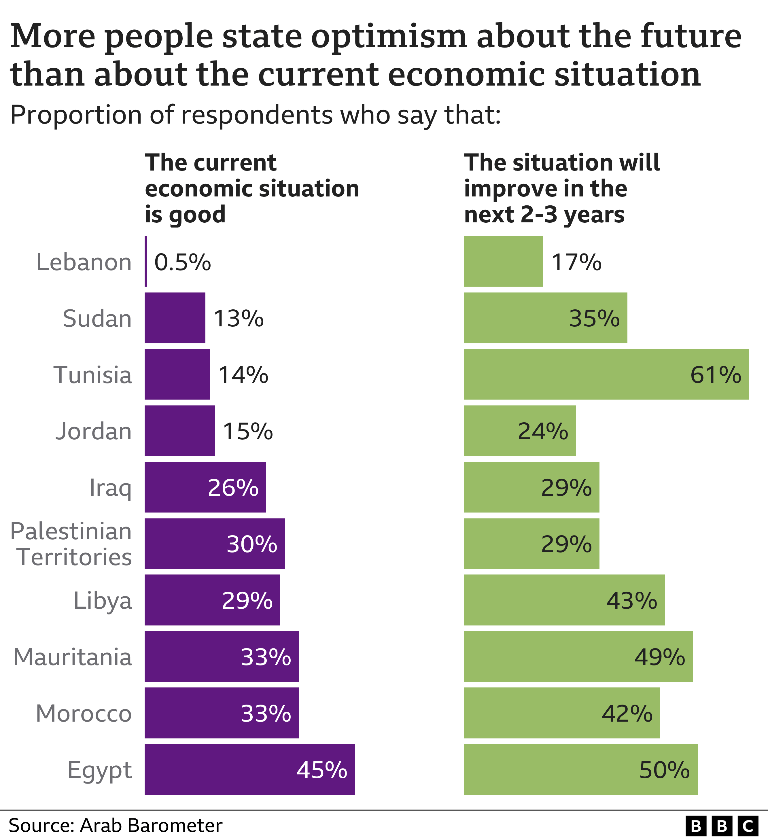 Arabs believe economy is weak under democracy - BBC News