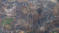 Climate change: Spike in Amazon emissions linked to law enforcement ...