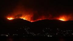 Rhodes wildfires are 'like a biblical catastrophe' - BBC News