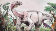 Weewarrasaurus pobeni: New dinosaur discovered in Australia - BBC Newsround