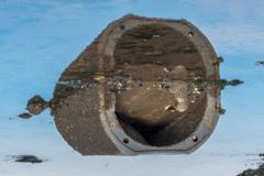 Coronavirus: Your pictures on the theme of 'reflections' - BBC News