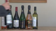 Gwynedd's Pant Du vineyard turns to solar power - BBC News