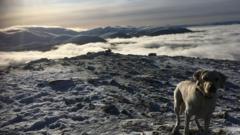 Your pictures of Scotland: 8 - 15 November - BBC News
