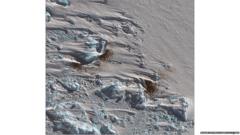Emperor penguins: New colony found after satellite images spot their ...