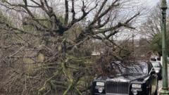 Storm Bella: Gusts of more than 100mph recorded in UK - BBC News