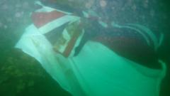 Sinking of battleship Royal Oak 75 years ago remembered in Orkney - BBC ...