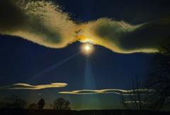 Your pictures of Scotland: 18 - 25 March - BBC News