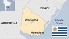 Uruguay's world first in cattle farming - BBC News
