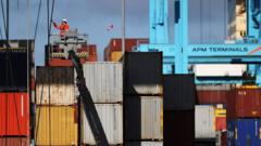 The ‘cocaine collectors’ retrieving smuggled drugs in Rotterdam - BBC News