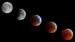 Skywatchers see 'super blood wolf moon' - BBC News