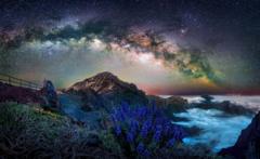 International Garden Photographer of the Year competition 2023 - BBC News