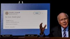 Social-media images shown as evidence of 'Russian trolls' - BBC News