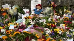 The lawn mower with a difference at Chicago O'Hare airport - CBBC Newsround