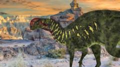 New species of dinosaur discovered with bat wings - BBC Newsround