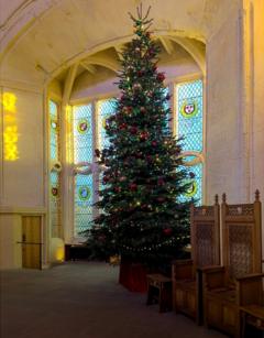 In pictures: Scotland's amazing Christmas trees - BBC News