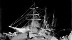 'Squat lobster' photobombs Shackleton's Endurance ship - BBC News