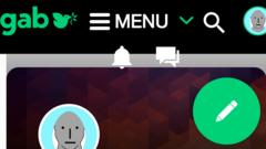 Social network Gab back online after shooting - BBC News