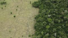 Amazon rainforest reaching tipping point, researchers say - BBC News