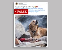 Turkey earthquake: The false images shared online - BBC News