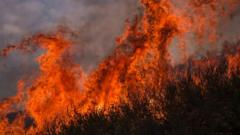In pictures: Fighting the Swedish wildfires - BBC News