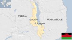 Malawi country profile - BBC News