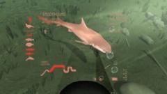 River Thames: Sharks and seahorses found living in waterway - BBC News