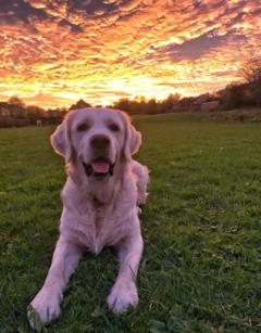Your pictures of Scotland: 19 - 26 October - BBC News