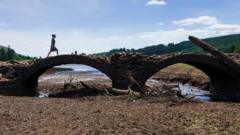 Climate change: UK could hit 40C 'regularly' by end of this century ...