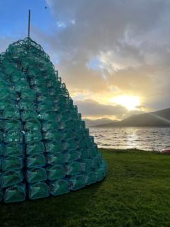 In pictures: Scotland's amazing Christmas trees - BBC News