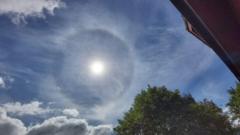 Seven days of British summer weather - BBC Weather