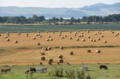 Your pictures of Scotland: 27 August - 3 September - BBC News