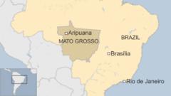 Brazil's Amazon wilderness at risk from organised crime - BBC News