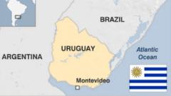 Uruguay's world first in cattle farming - BBC News