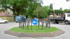 Truro's hedgehog roundabout named best in UK - BBC News