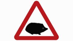 Hedgehog road deaths in UK 'as high as 335,000' - BBC News