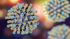 Could relatives of measles virus jump from animals to us? - BBC News