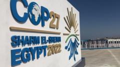 COP27: 'Climate chaos' warning as UN summit begins - BBC News