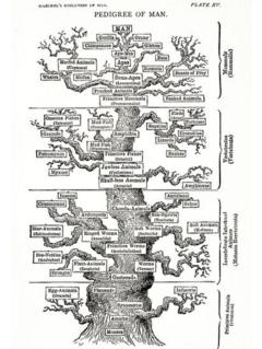 Lucy y Ardi, los fósiles que cambiaron la historia de la humanidad ...