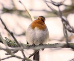 England's Big Picture: 28 November - 4 December - BBC News